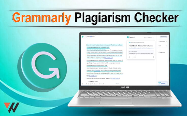 How to Use Grammarly Plagiarism Checker (2024 Guide)