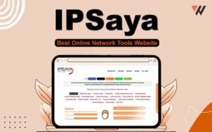 Ipsaya - IP Address Checker Online